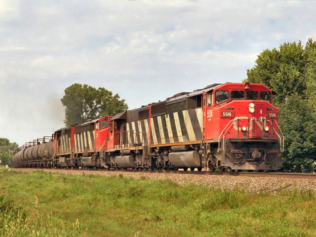 CN 5516